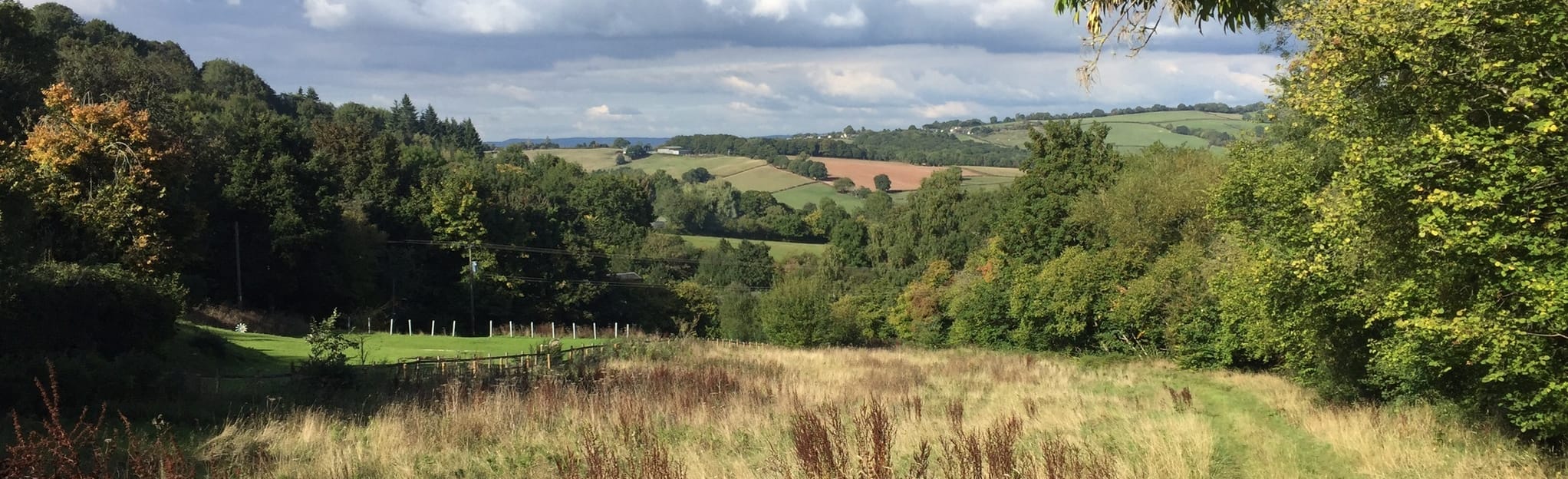 Garway Hill Circular: 53 Reviews, Map - Herefordshire, England | AllTrails