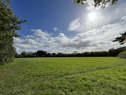 2023 Best Forest Trails in Worcester Woods Country Park | AllTrails