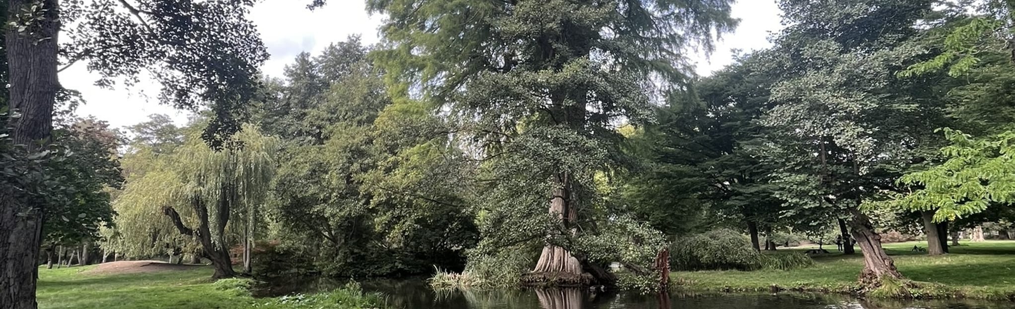 London Loop: Section 9 - Kingston Bridge to Hatton Cross - London ...