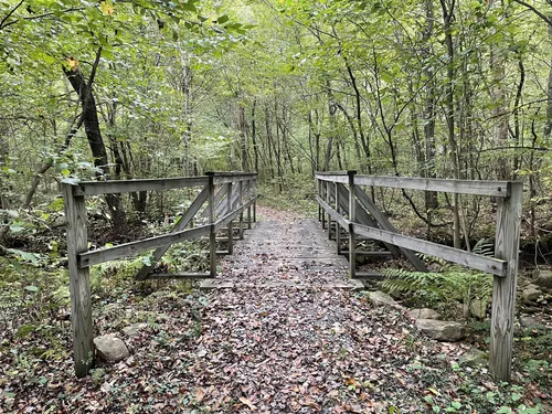 10 Best Hikes and Trails in Forbes State Forest | AllTrails