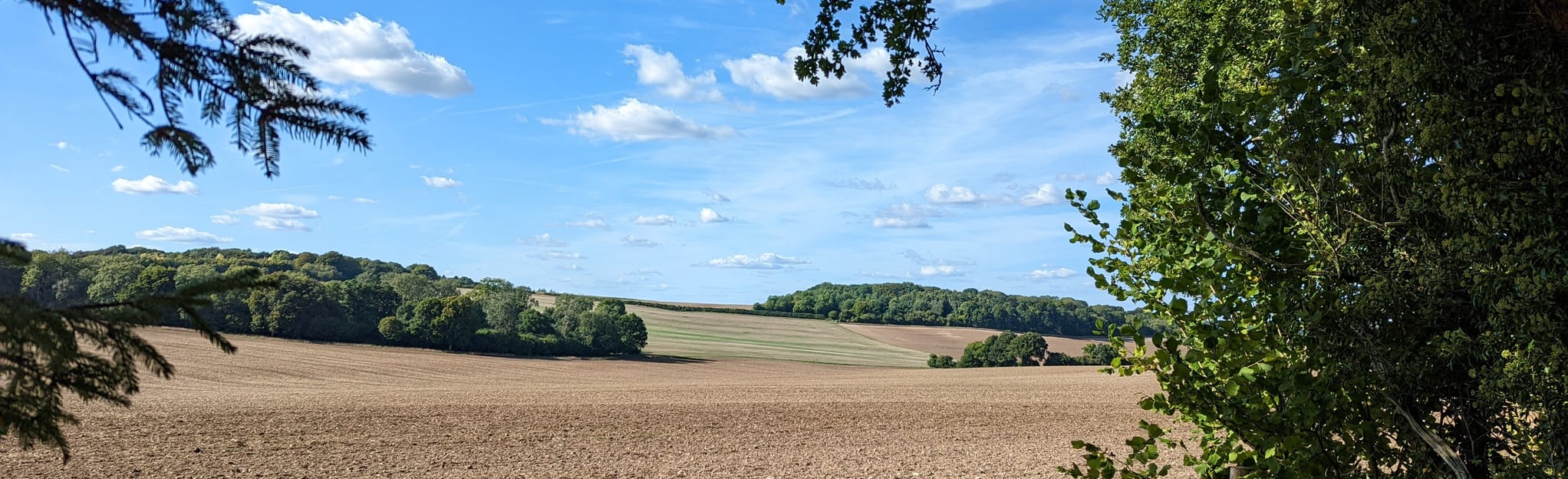 Farley Mount Circular, Hampshire, England - 81 Reviews, Map | AllTrails