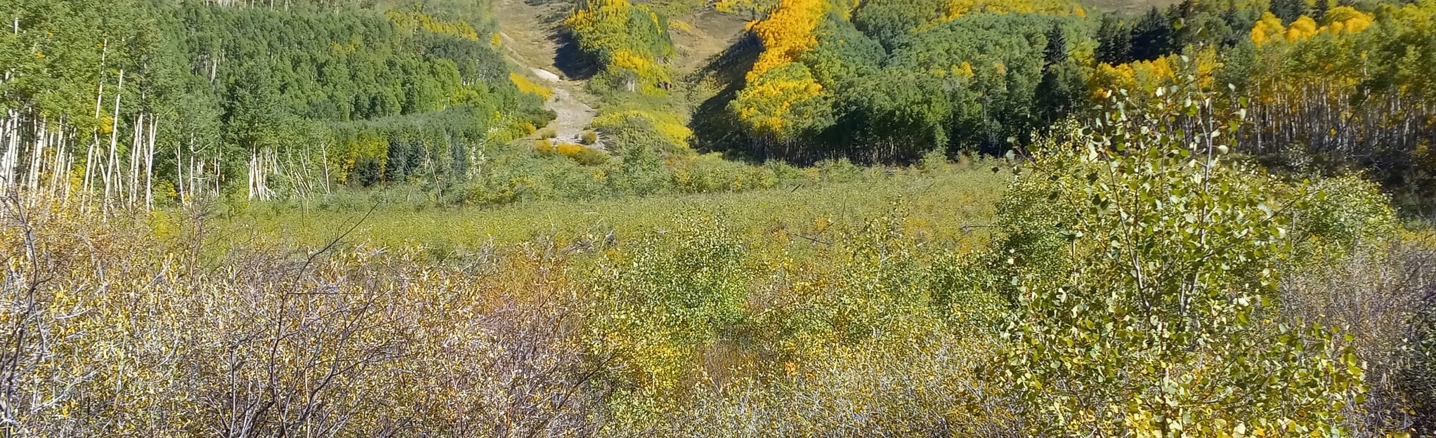 Swamp Canyon Trail, Colorado - 22 Reviews, Map | AllTrails