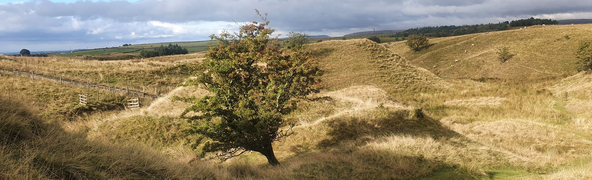 Cheesden Valley Circular: 106 Reviews, Map - Greater Manchester ...