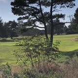 Salishan Spit Trail, Oregon - 259 Reviews, Map | AllTrails