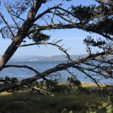 Salishan Spit Trail, Oregon - 259 Reviews, Map | AllTrails