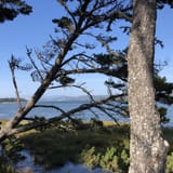 Salishan Spit Trail, Oregon - 259 Reviews, Map | AllTrails