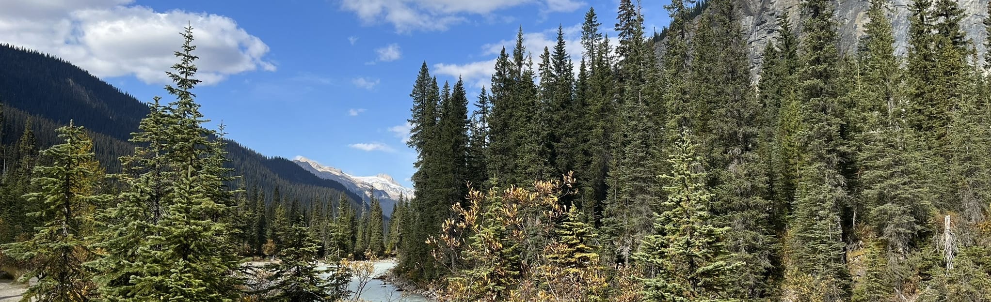 Iceline Summit: 585 Reviews, Map - British Columbia, Canada | AllTrails