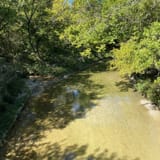 Spring Creek Nature Area Trail, Texas - 1,151 Reviews, Map | AllTrails
