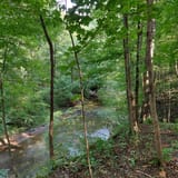 Paul Ruster Trail, Indiana - 235 Reviews, Map | AllTrails