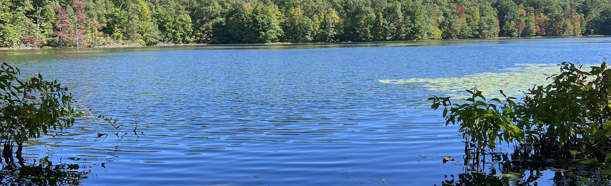 Hall Lake Loop - Michigan | AllTrails