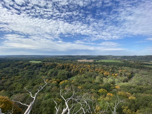 2023 Best trails in Wildcat Mountain State Park | AllTrails