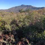 Sweetwater River Loop Trail, California - 425 Reviews, Map | AllTrails