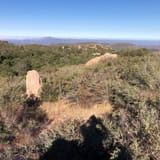 Sweetwater River Loop Trail, California - 425 Reviews, Map | AllTrails