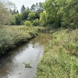 Toogood Pond Loop, Ontario, Canada - 532 Reviews, Map | AllTrails