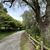 Toogood Pond Loop, Ontario, Canada - 532 Reviews, Map | AllTrails