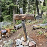 Sawtooth Wilderness Loop, Idaho - 136 Reviews, Map | AllTrails