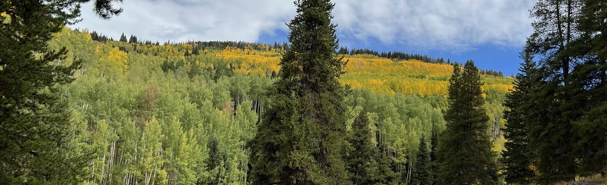 Spraddle Creek Trail: 59 foto's - Colorado | AllTrails