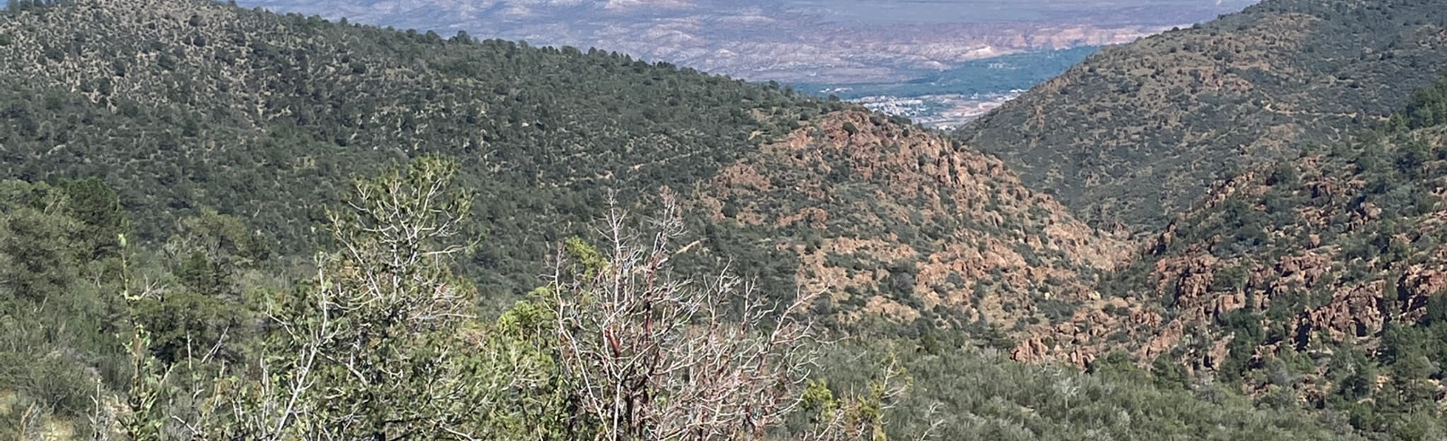 Mescal Gulch to Bug Hollow Loop: 114 Reviews, Map - Arizona | AllTrails