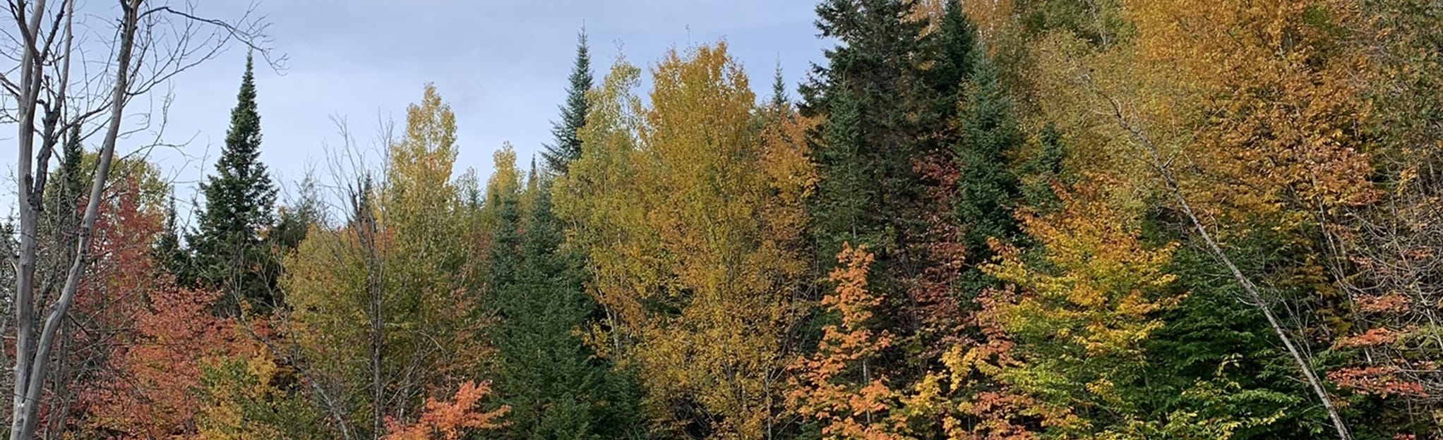 Lac-des-Plages Forest, Quebec, Canada - 17 Reviews, Map | AllTrails