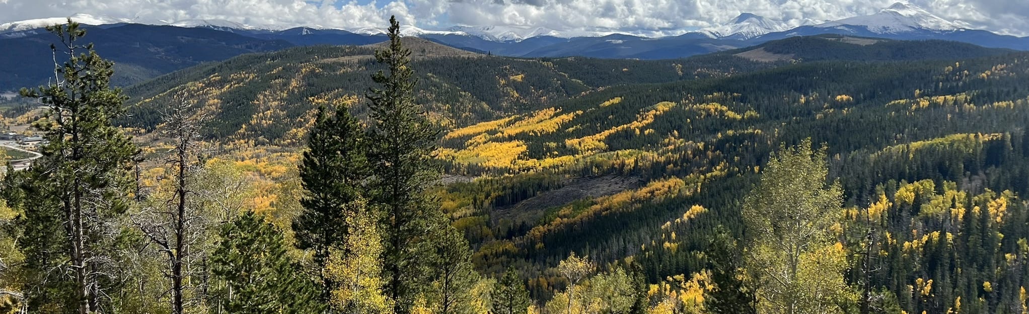 Mount Royal Trail: 2306 Reviews, Map - Colorado | AllTrails