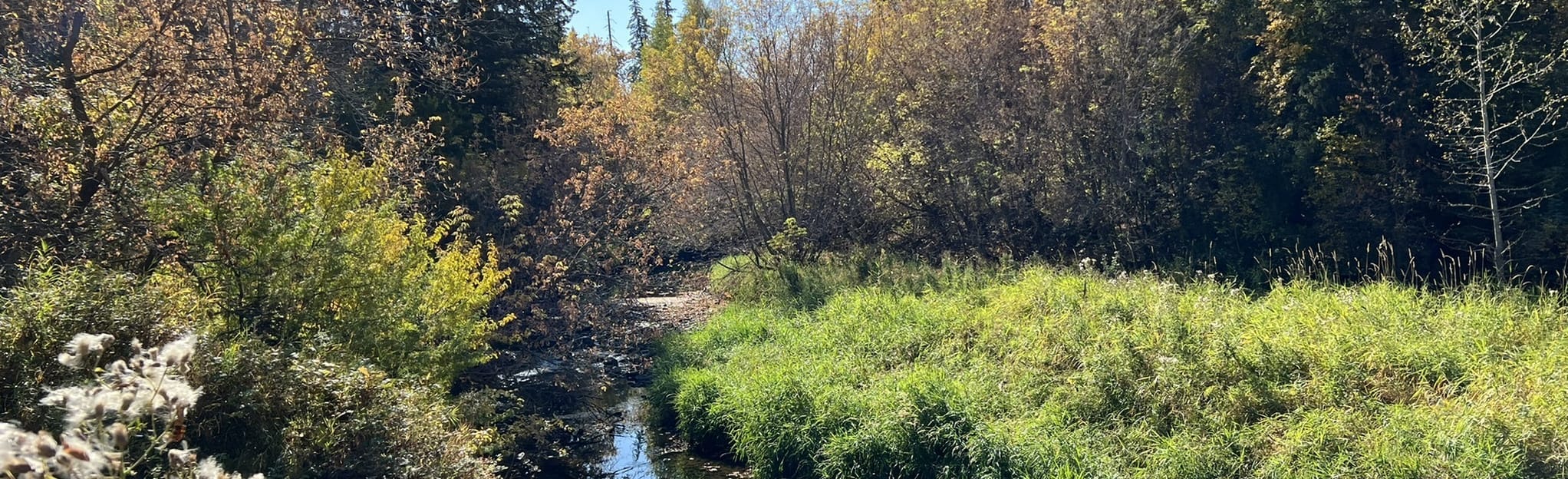 Heritage Bower, Ponds, Little Gaetz, and Kin Kanyon, Alberta, Canada ...