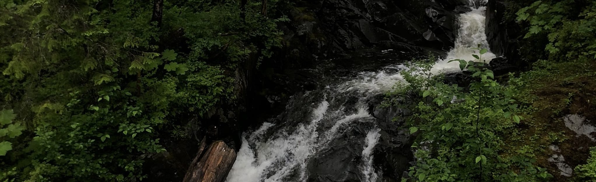 Sitka Cross Trail: Cascade Creek to Kramer Trailhead: 14 Reviews, Map ...