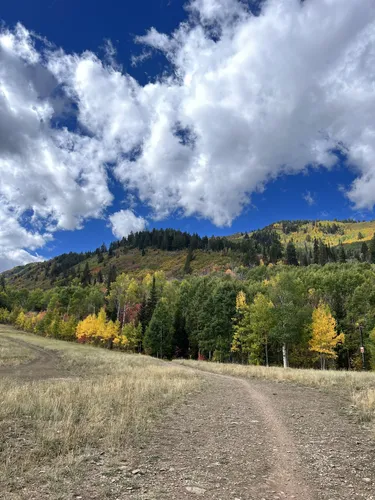 10 Best Hikes and Trails in Park City Trails and Open Space | AllTrails