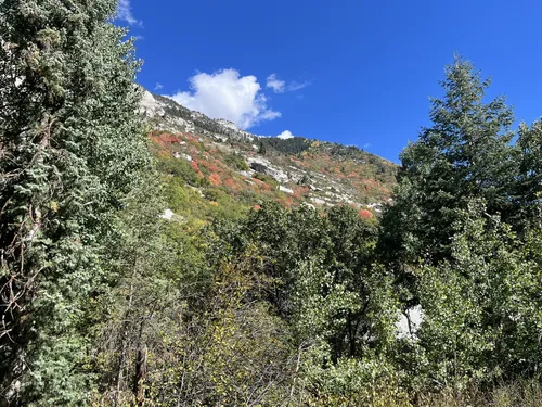 2023 Best 10 Trails and Hikes in Sandy | AllTrails