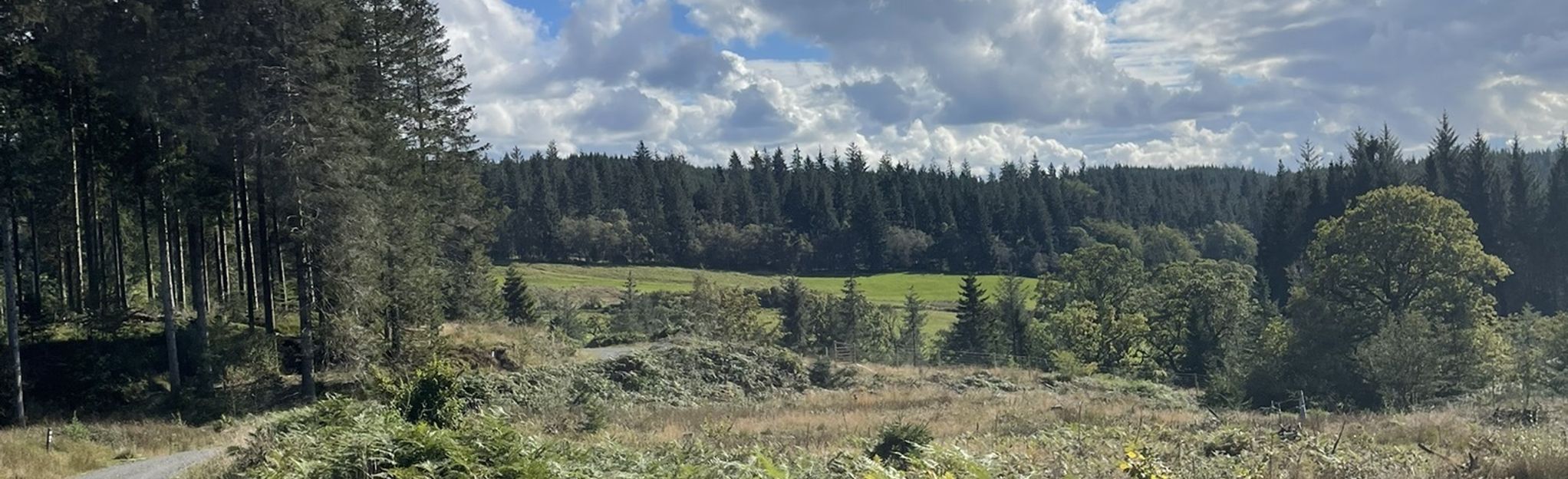 Grizedale Forest and Stony Gap Circular, Cumbria, England - 18 Reviews ...