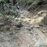 Tres Sendas Trail, California - 276 Reviews, Map | AllTrails