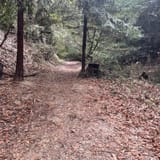 Tres Sendas Trail, California - 276 Reviews, Map | AllTrails