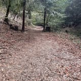Tres Sendas Trail, California - 276 Reviews, Map | AllTrails
