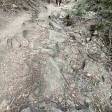 Tres Sendas Trail, California - 276 Reviews, Map | AllTrails