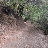 Tres Sendas Trail, California - 276 Reviews, Map | AllTrails