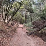 Tres Sendas Trail, California - 276 Reviews, Map | AllTrails