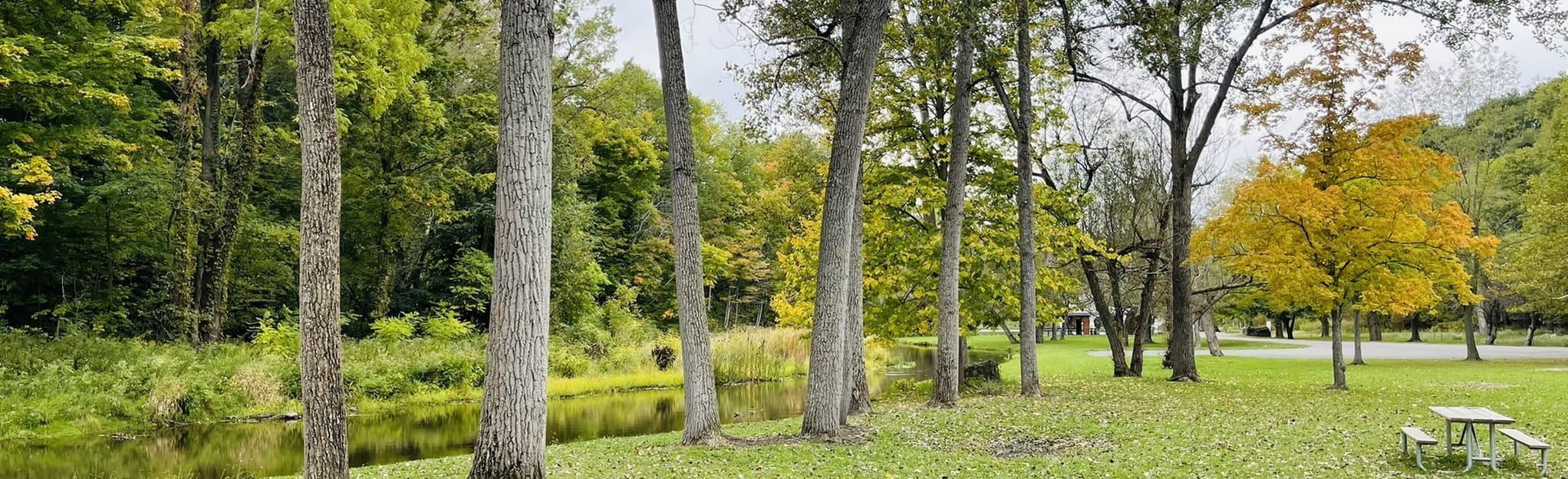 Lower & Upper Akron Falls | Map, Guide - New York | AllTrails