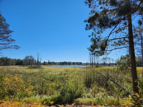 Best Hikes and Trails in Seney National Wildlife Refuge | AllTrails