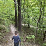 Bruce Trail: Niagara Section, Ontario, Canada - 493 Reviews, Map ...