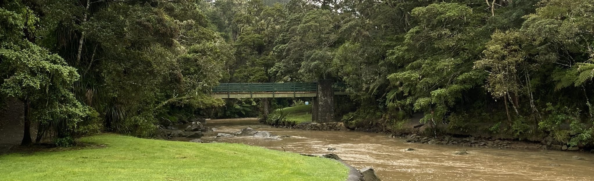 Mount Parihaka via Hokianga Track, Northland, New Zealand - 125 Reviews ...