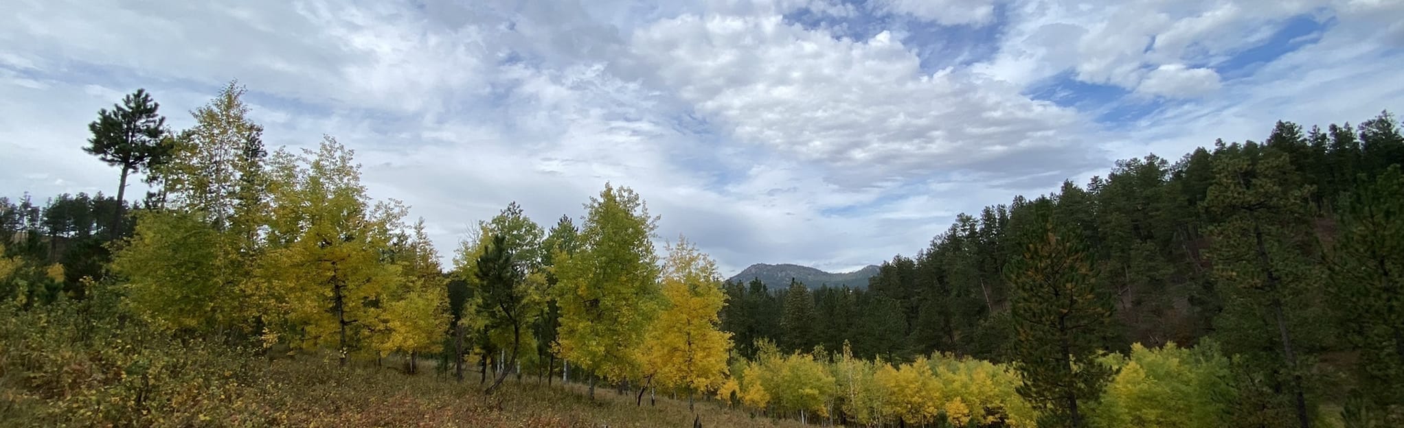 Empire Mine via Samelius Trailhead: 240 Reviews, Map - South Dakota ...