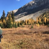 Hidden Lake Trail, Alberta, Canada - 301 Reviews, Map | AllTrails