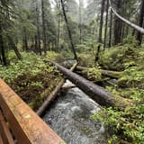 Indian River Trail, Alaska - 217 Reviews, Map | AllTrails