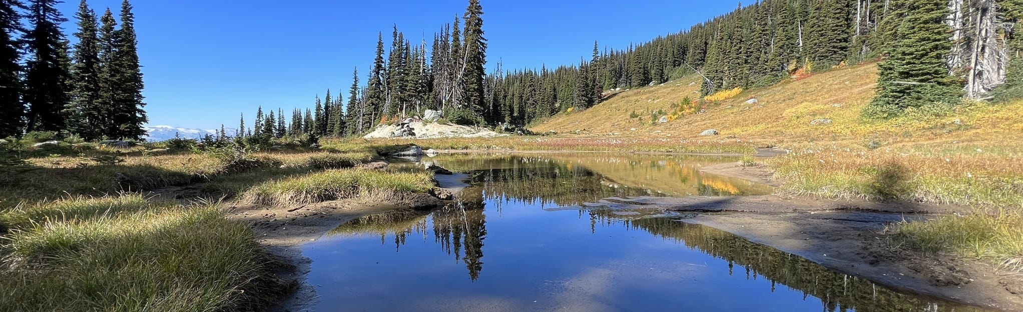 Overlord Trail To Lakeside Loop 235 Reviews Map British Columbia