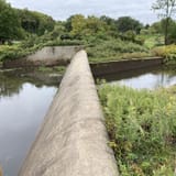 Lenape Trail , New Jersey - 403 Reviews, Map | AllTrails