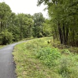 Lenape Trail , New Jersey - 435 Reviews, Map | AllTrails