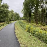 Lenape Trail , New Jersey - 435 Reviews, Map | AllTrails