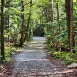 Busby Trail, Spruce Hill Lost Pond and Blackburnian Loop, Massachusetts ...