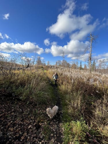 2023 Best Views Trails in Nancy Lake State Recreation Area | AllTrails