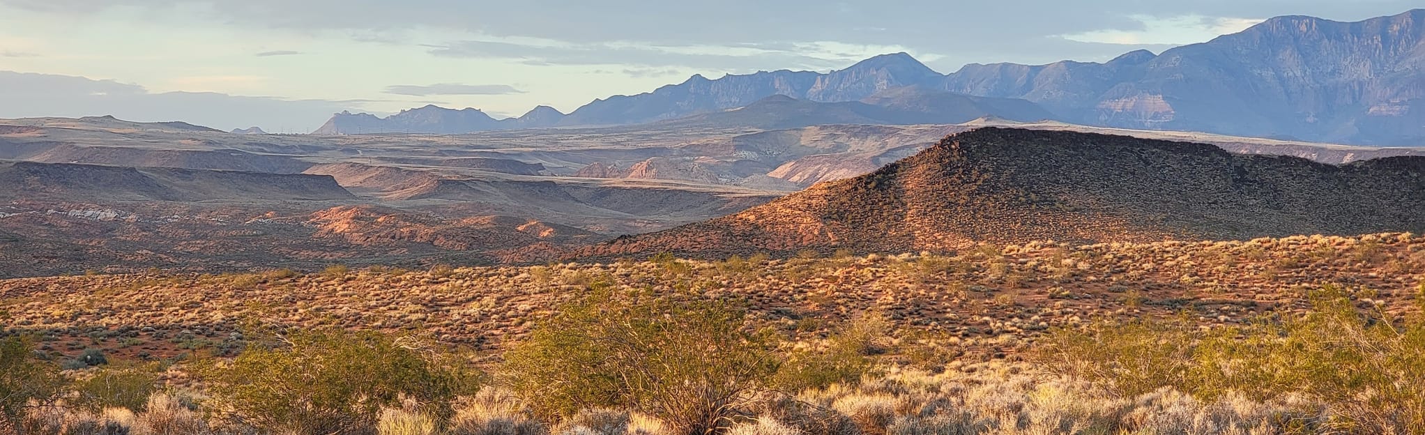 T-Bone and Pioneer Rim Trail Loop: 313 Reviews, Map - Utah | AllTrails