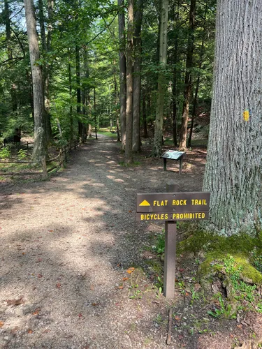 Best 10 Hiking Trails in Linn Run State Park | AllTrails